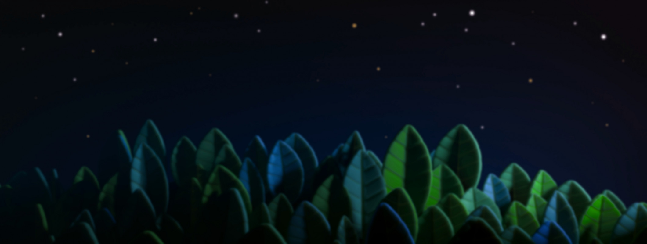 Hiring Process at Diamond